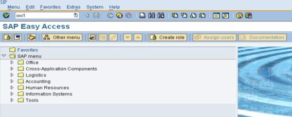 SNC SAProuter: Step-by-Step Technical Guide 2025