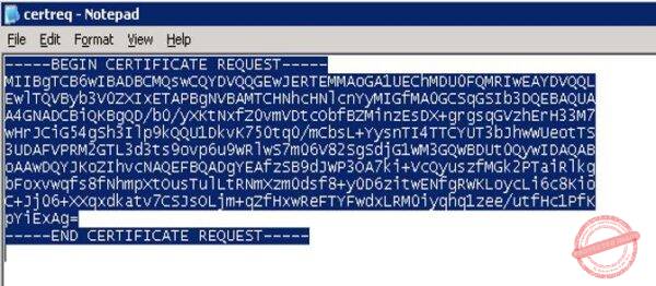 Snc Saprouter Step By Step Technical Configuration Asksapbasis