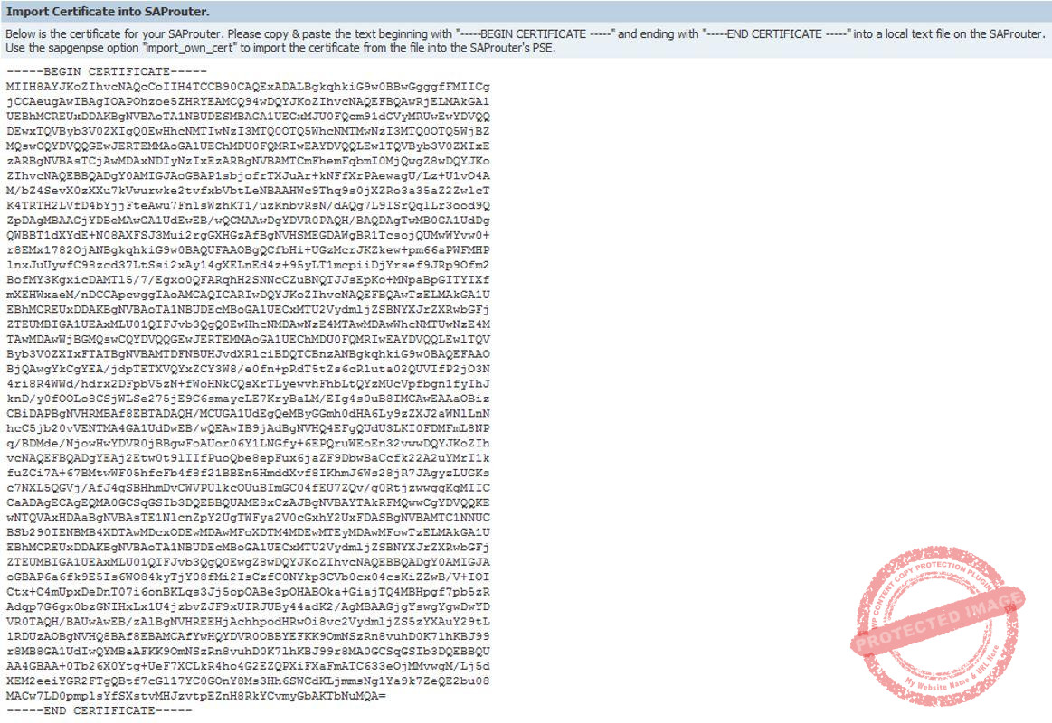 SNC SAProuter: Step-by-Step Technical Guide 2025