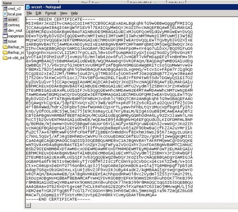 SNC SAProuter: Step-by-Step Technical Guide 2025